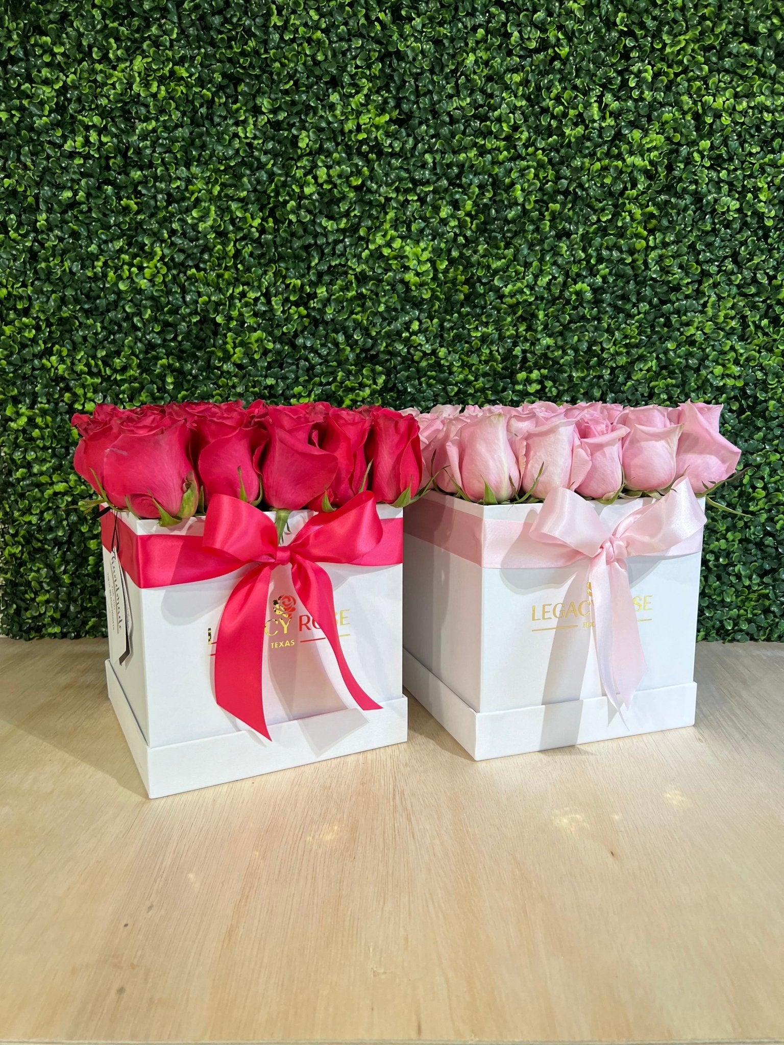 Chic Collection – Legacy Rose TX